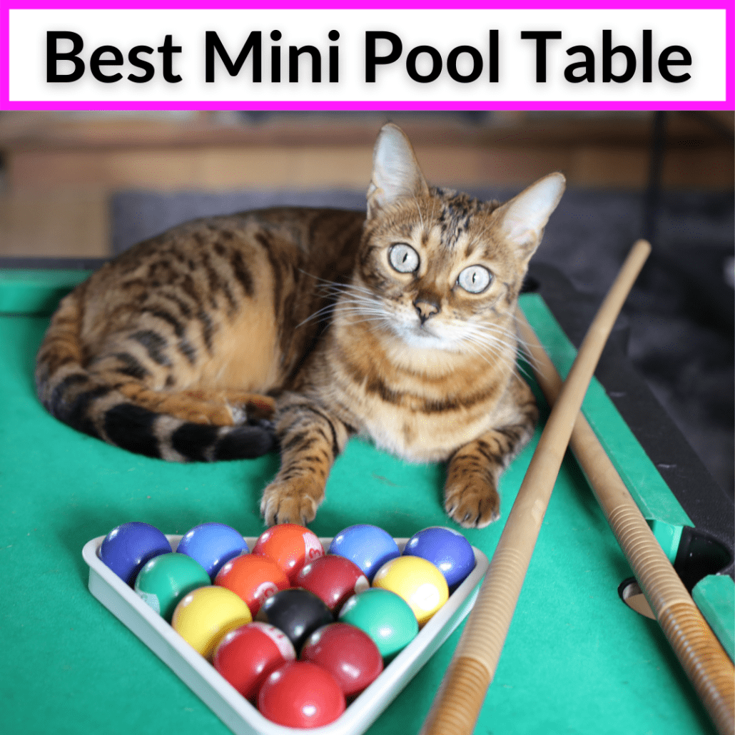 Best Mini Pool Table (Small Billiard Tables Compared) - Workout HQ